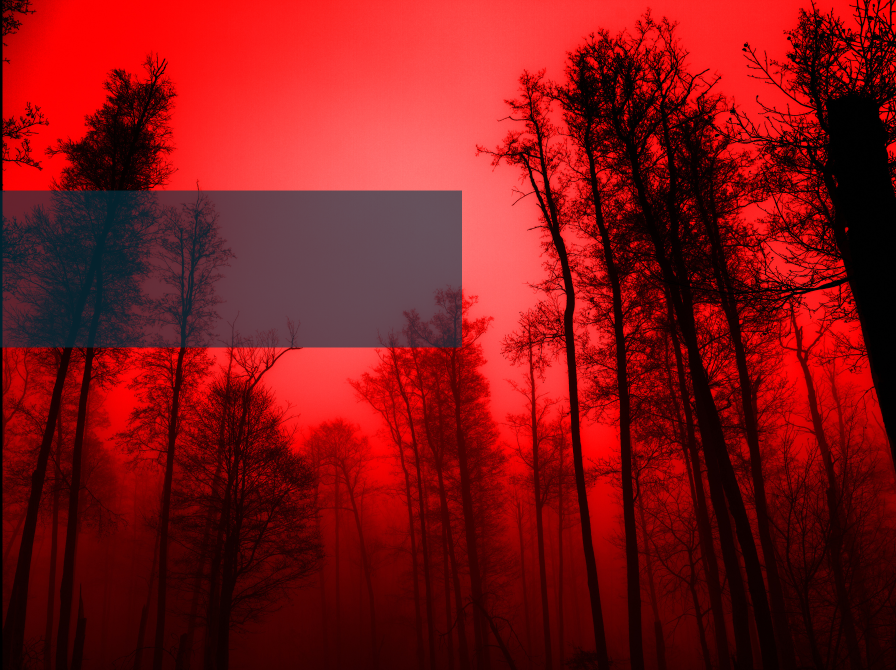 Noget, der ligner Stranger Things | Stevns Bibliotekerne